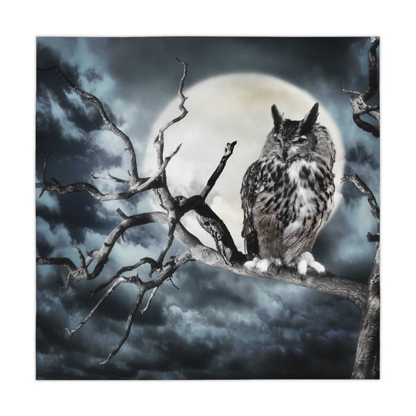 Night Owl Tablecloth